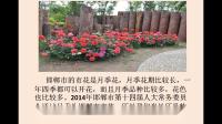 综合实践与创新活动一年级下册2《养花》—邯郸市复兴区百家小学郭...