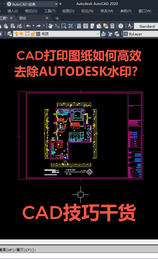 CAD打印图纸,出现AUTODESK水印