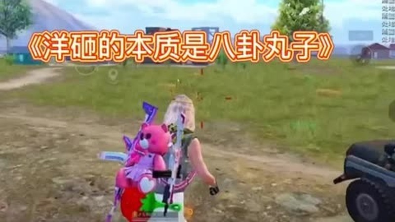 《钉钉主播班主任》《洋砸的本质是八卦丸子》