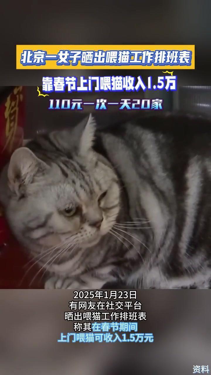 北京一女子靠春节上门喂猫收入1.5万,110元一次一天20家