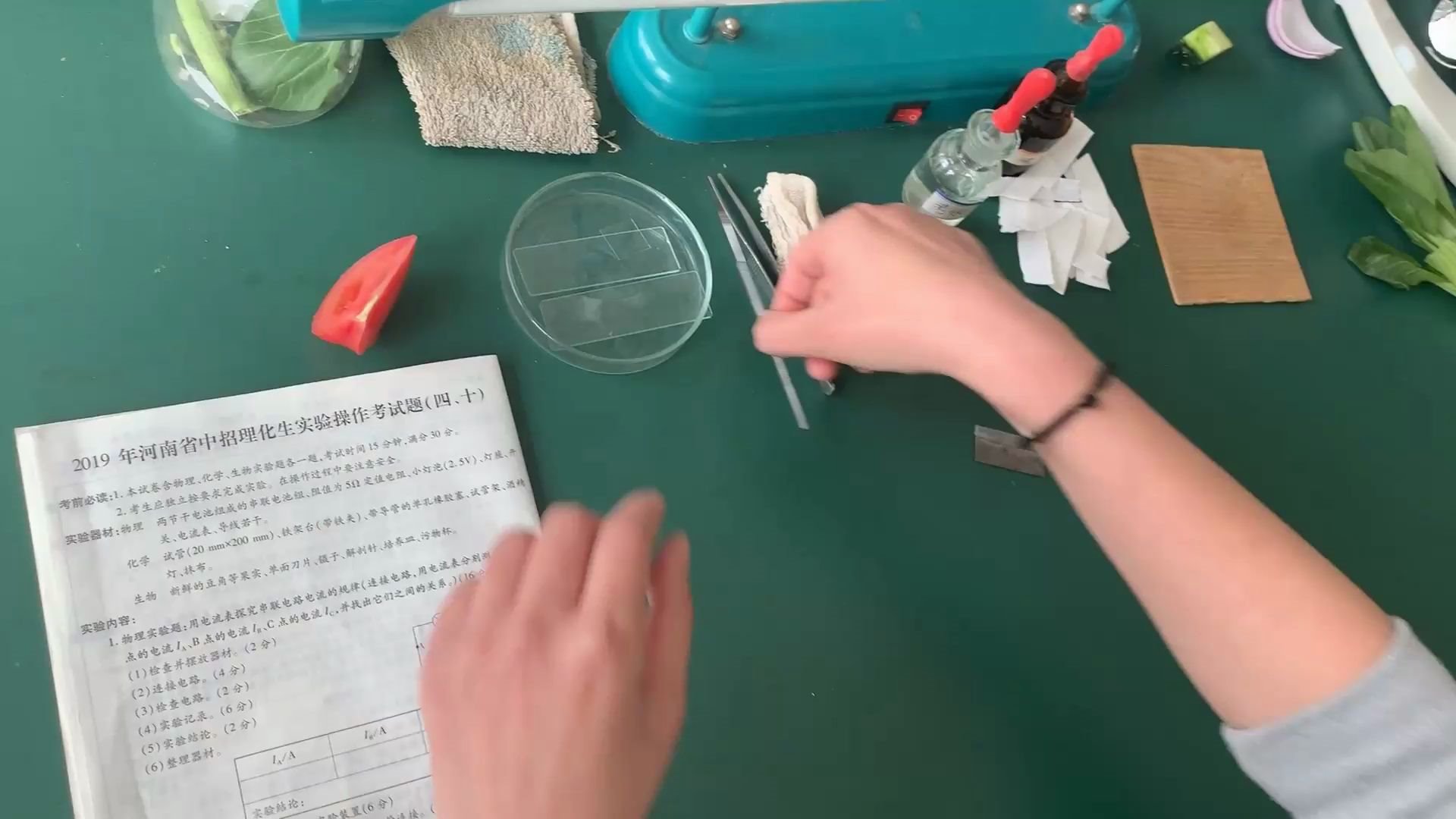 4 观察果实的结构
