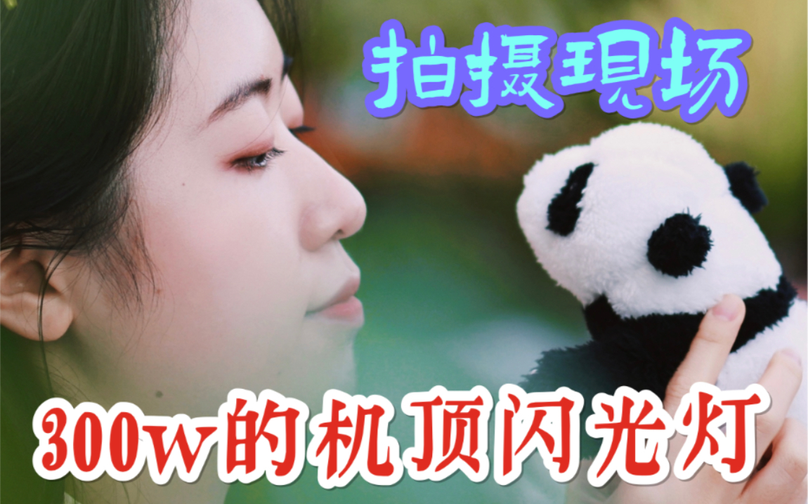 ...机顶补光灯,ad300pro秒变机顶灯_如何拍出柔美人像照片_如何拍人像