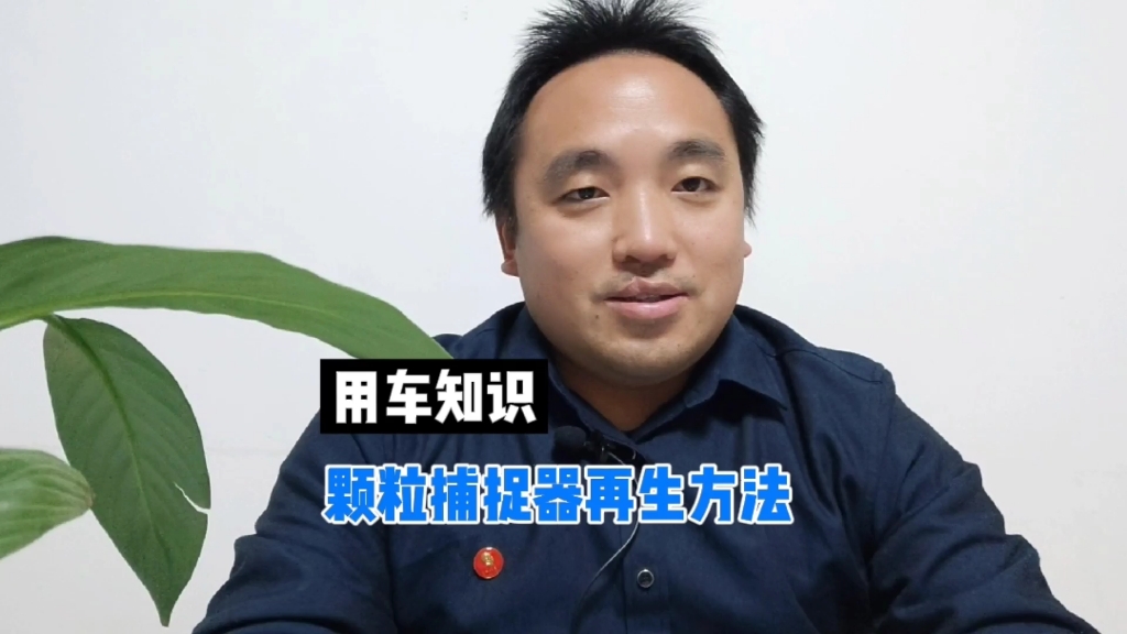 颗粒捕捉器再生方法