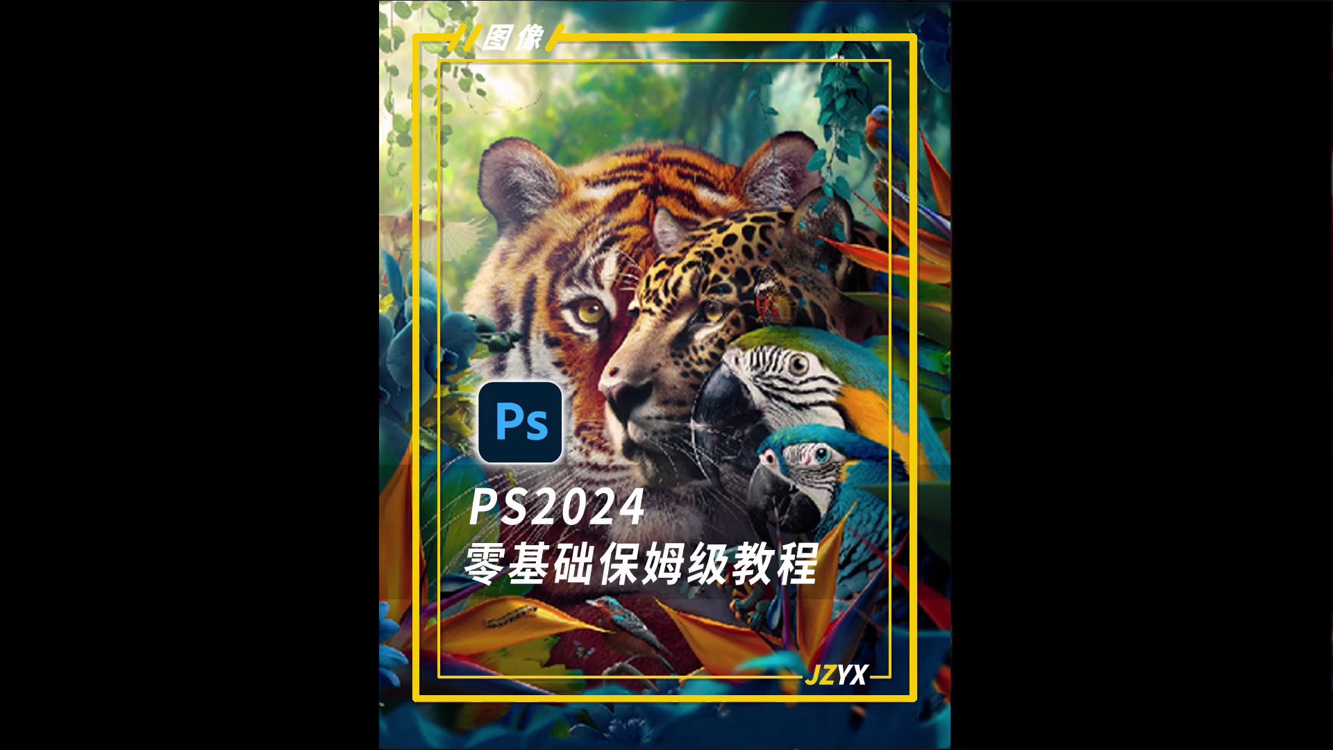 PS2024最新版零基础保姆级使用教程-套索工具的使用