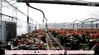 建设智能温室大棚