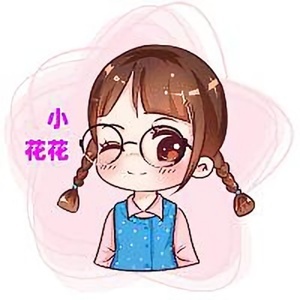 小花花游戏解说