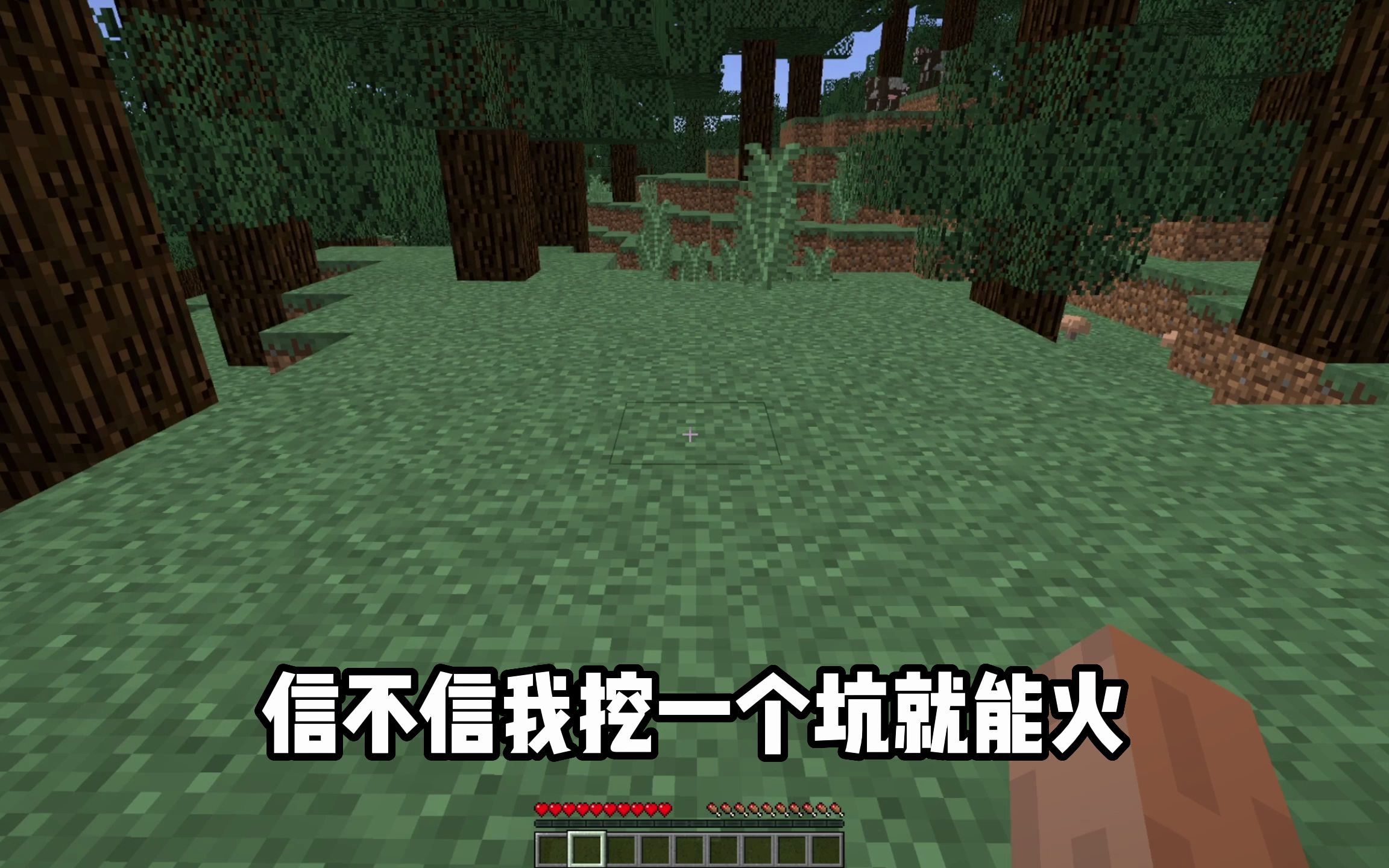 我的世界信不信我自己都不相信
