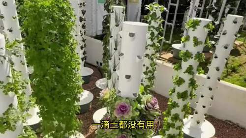 女人自己在家发明的无土栽培技术,不出门就能养活自己,太先进了