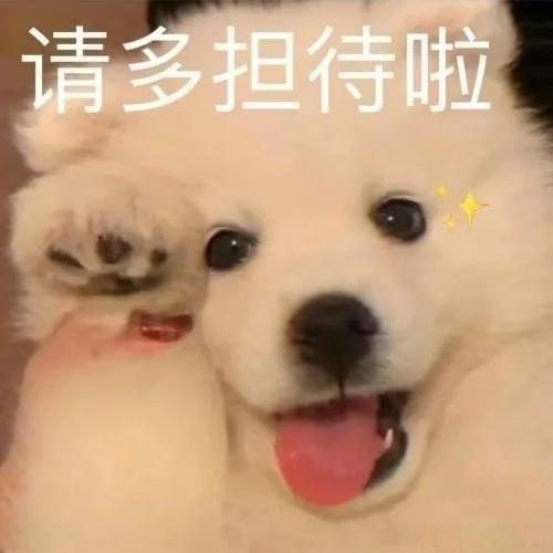 东丰二中的小可爱们 