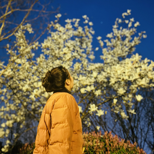 小亭子-HT 