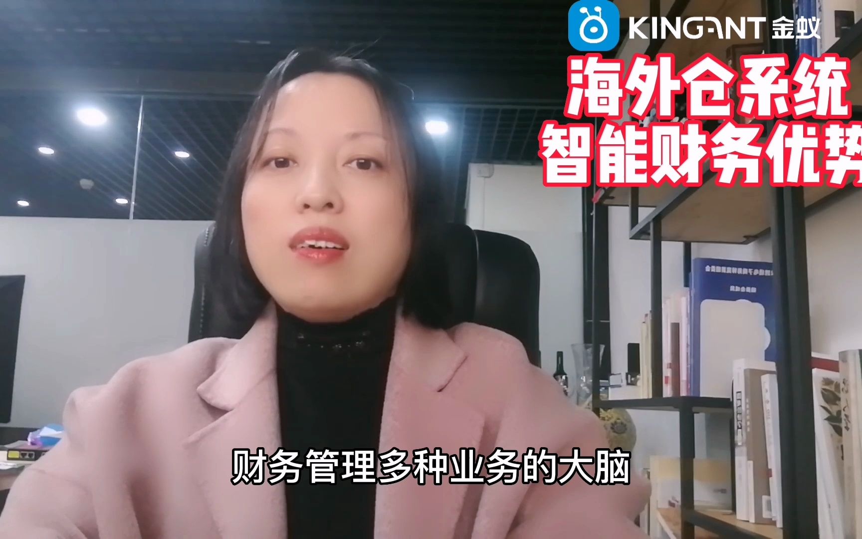 金蚁海外仓系统智能财务的优势