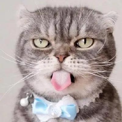 无病的病猫 