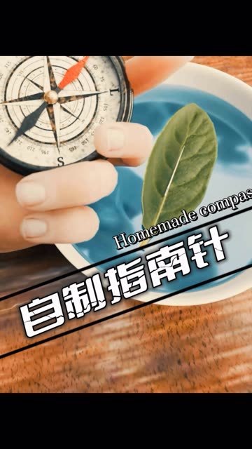 在野外怎样自制指南针?