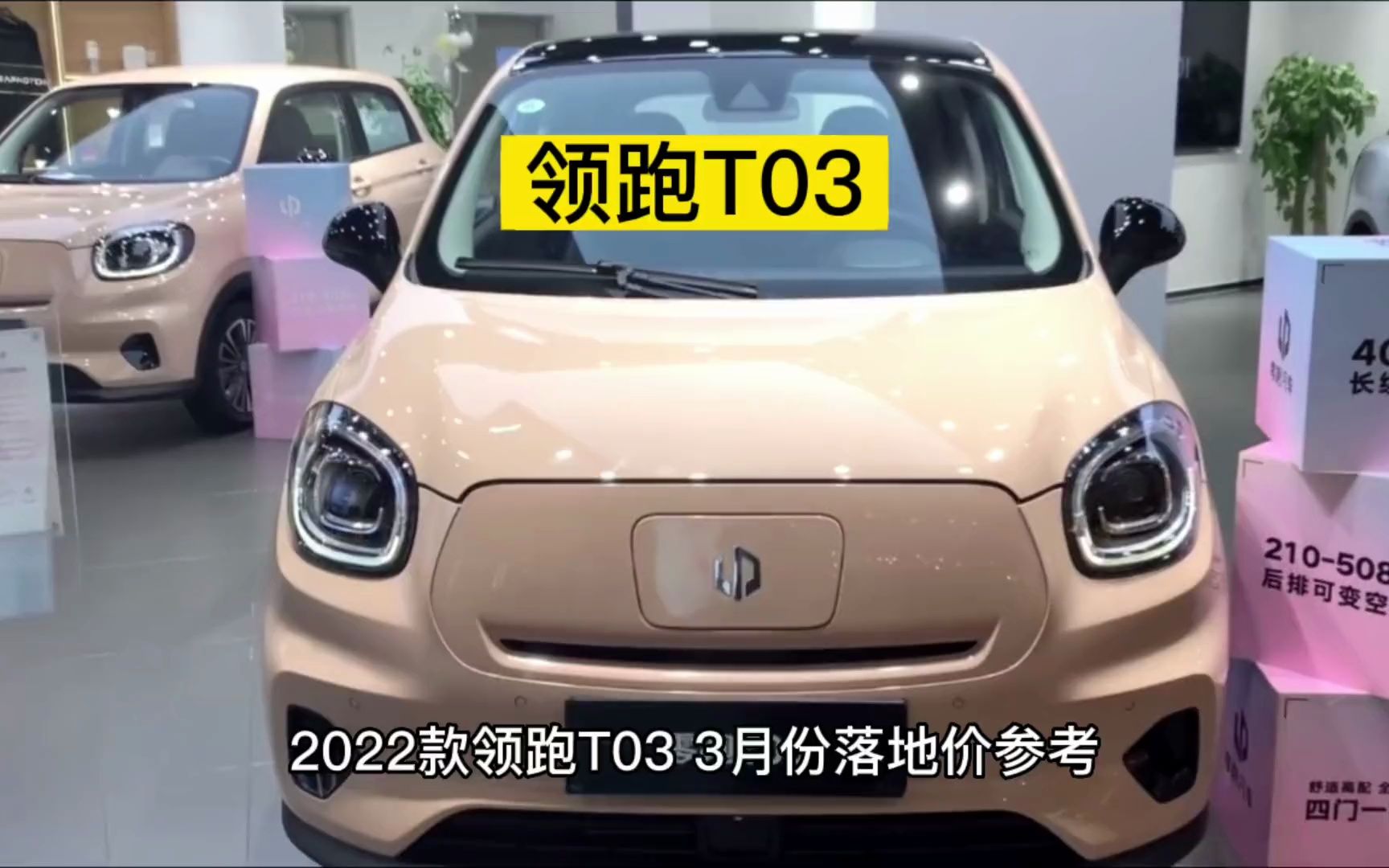 2022款领跑T03 星钻版403km最新落地价参考