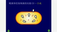 噬菌体侵染细菌实验