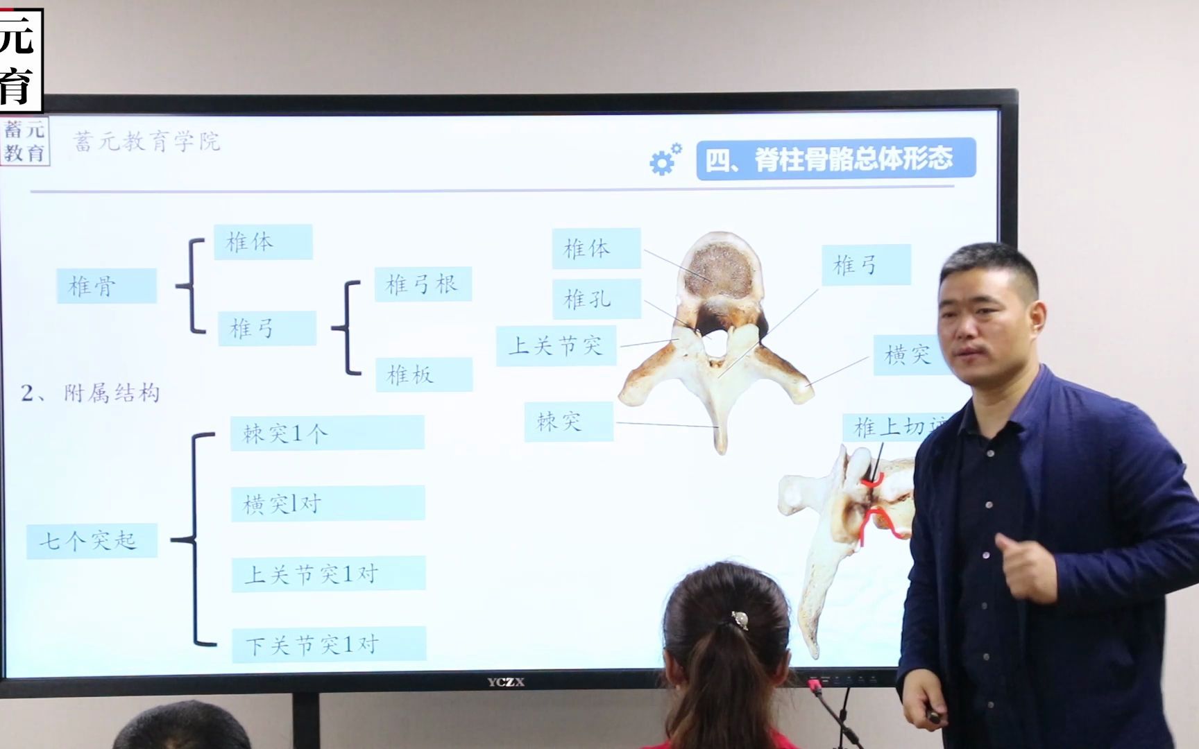 徒手正骨推拿-徒手整形-面部驻颜-脊柱理论培训课程