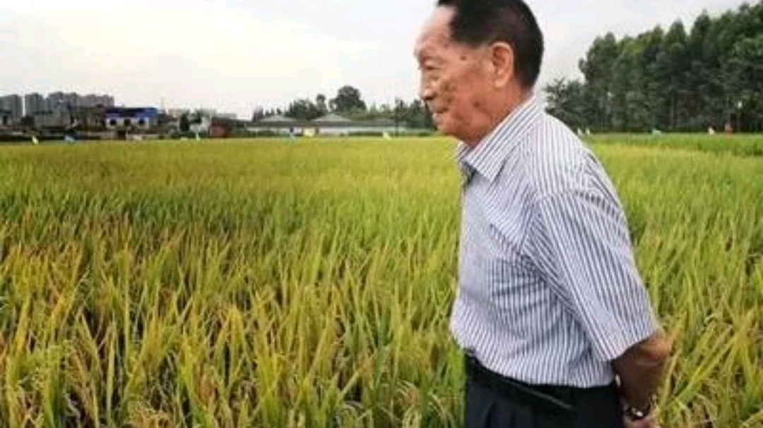 “杂交水稻之父”袁隆平还在抢救中,去世为谣言