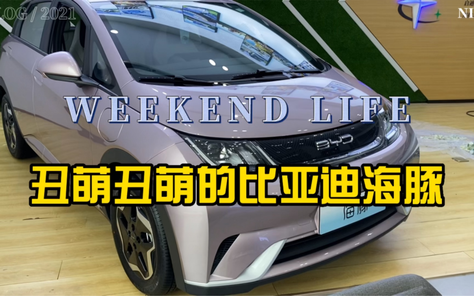 十万冒头的电动车!比亚迪海豚!续航三四百公里!丑萌丑萌哒