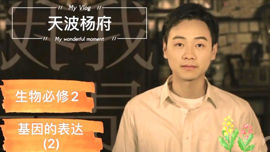 天波杨府生物课,高考生物,必修2,基因的表达(第2课时)