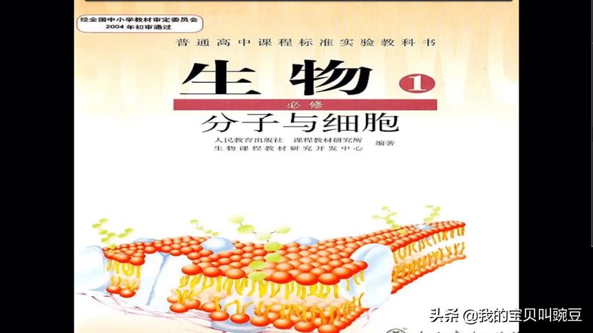 高中生物一轮复习 第一讲 走进细胞