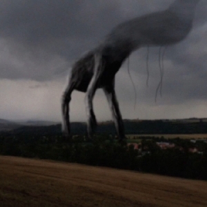 一只拖更的17天 