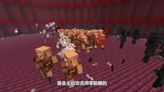 我的世界:猪灵VS凋零骷髅,新生物这么强?