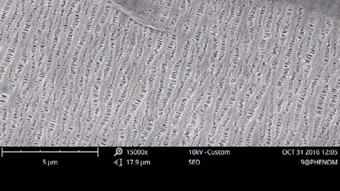 锂电池隔膜的微观结构