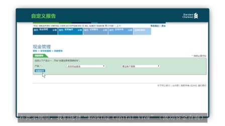 现金管理:信息管理器1-密码和创建报告