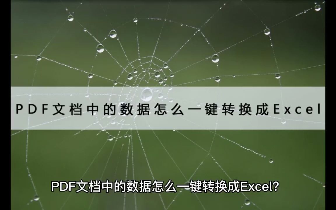 PDF文档中的数据怎么一键转换成Excel?手机都能转