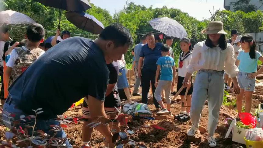 学校的劳动实践活动,好好耕耘才有收获