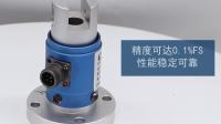 上海隆旅NNJL-201静态扭矩传感器