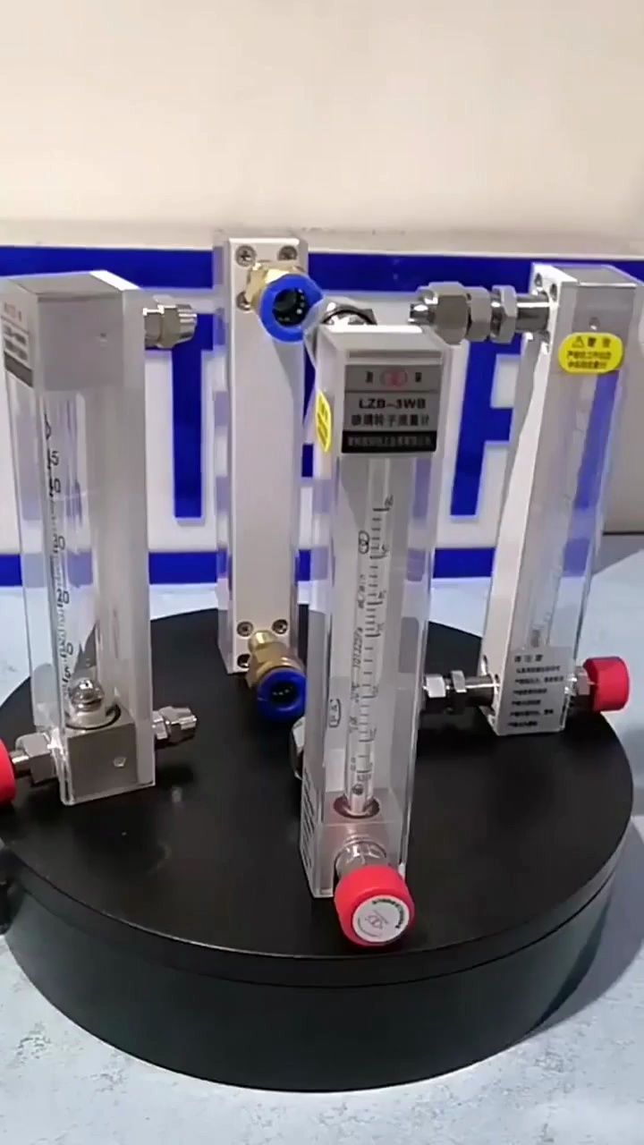 LZB-3WB玻璃转子流量计 常州双环