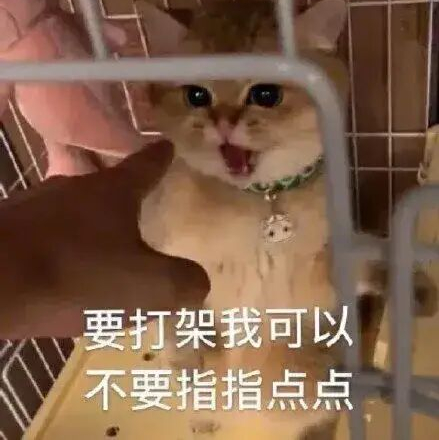 时光喵喵怪 