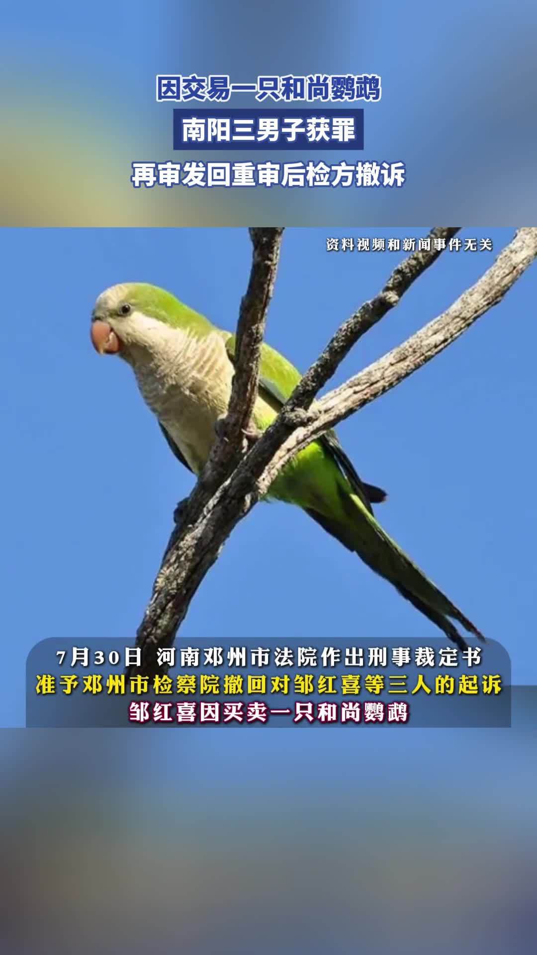 因交易一只和尚鹦鹉,南阳三男子获罪,再审发回重审后检方撤诉