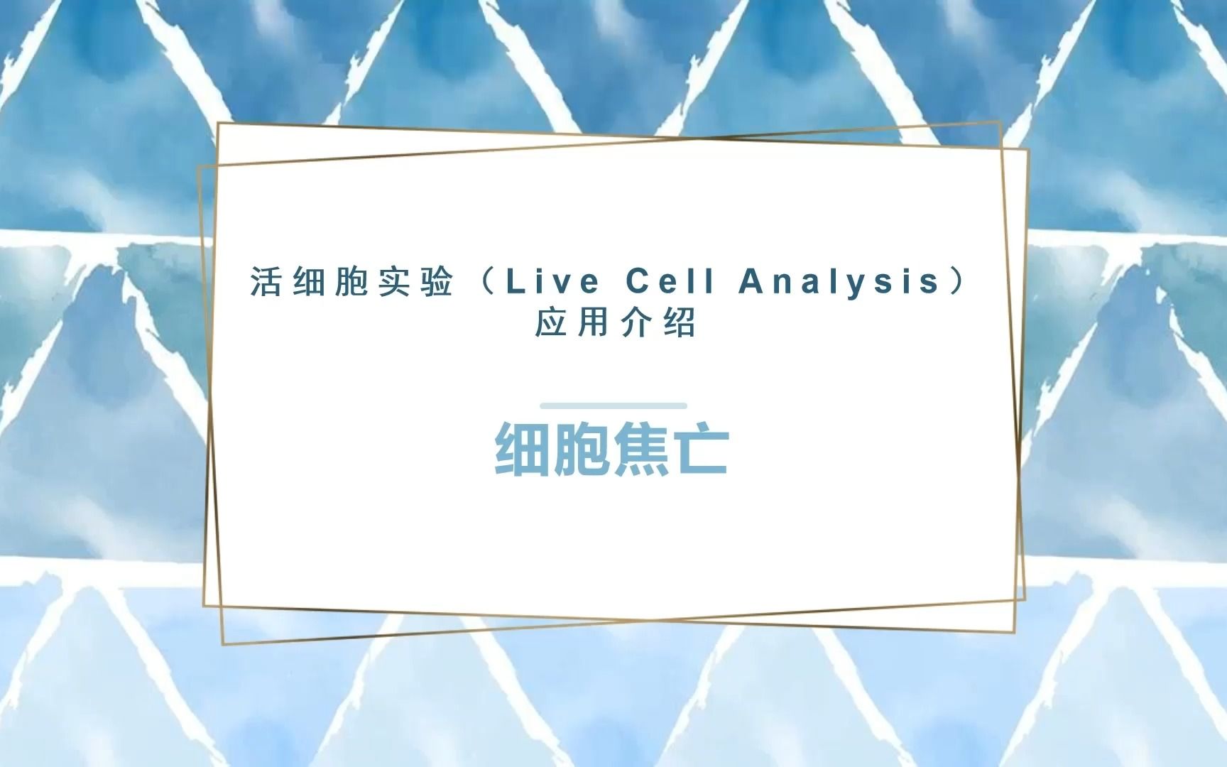 LCA活细胞实验——细胞焦亡