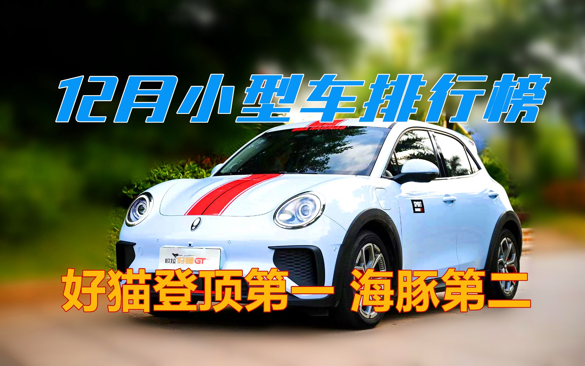 欧拉好猫夺得12月小型车销量排行榜冠军,比亚迪海豚位居第二