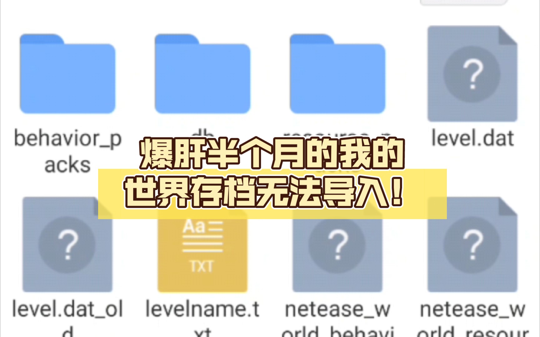 【江湖救急!】爆肝半个月的我的世界存档无法导入!请求帮助!