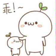 葱鸭葱鸭葱鸭 