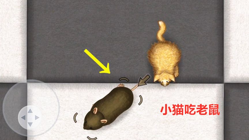 小猫模拟器!我变成一只小花猫,一口吃掉一只老鼠