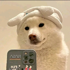 ahsjahs 
