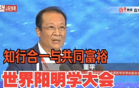 世界阳明学大会丨董平:“知行合一”是共同富裕的实现方式