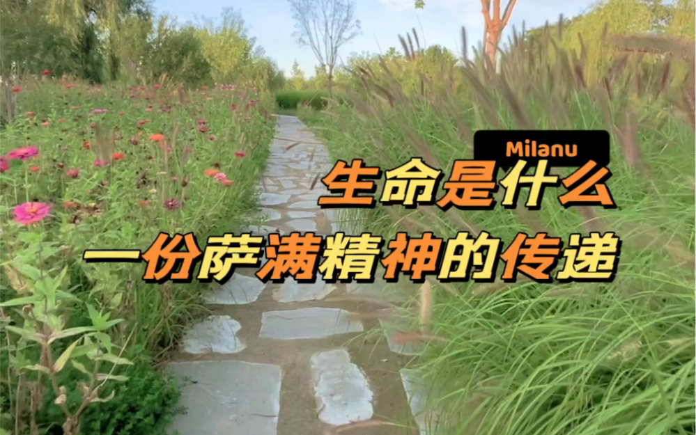 什么是生命?作为人如何改变命运