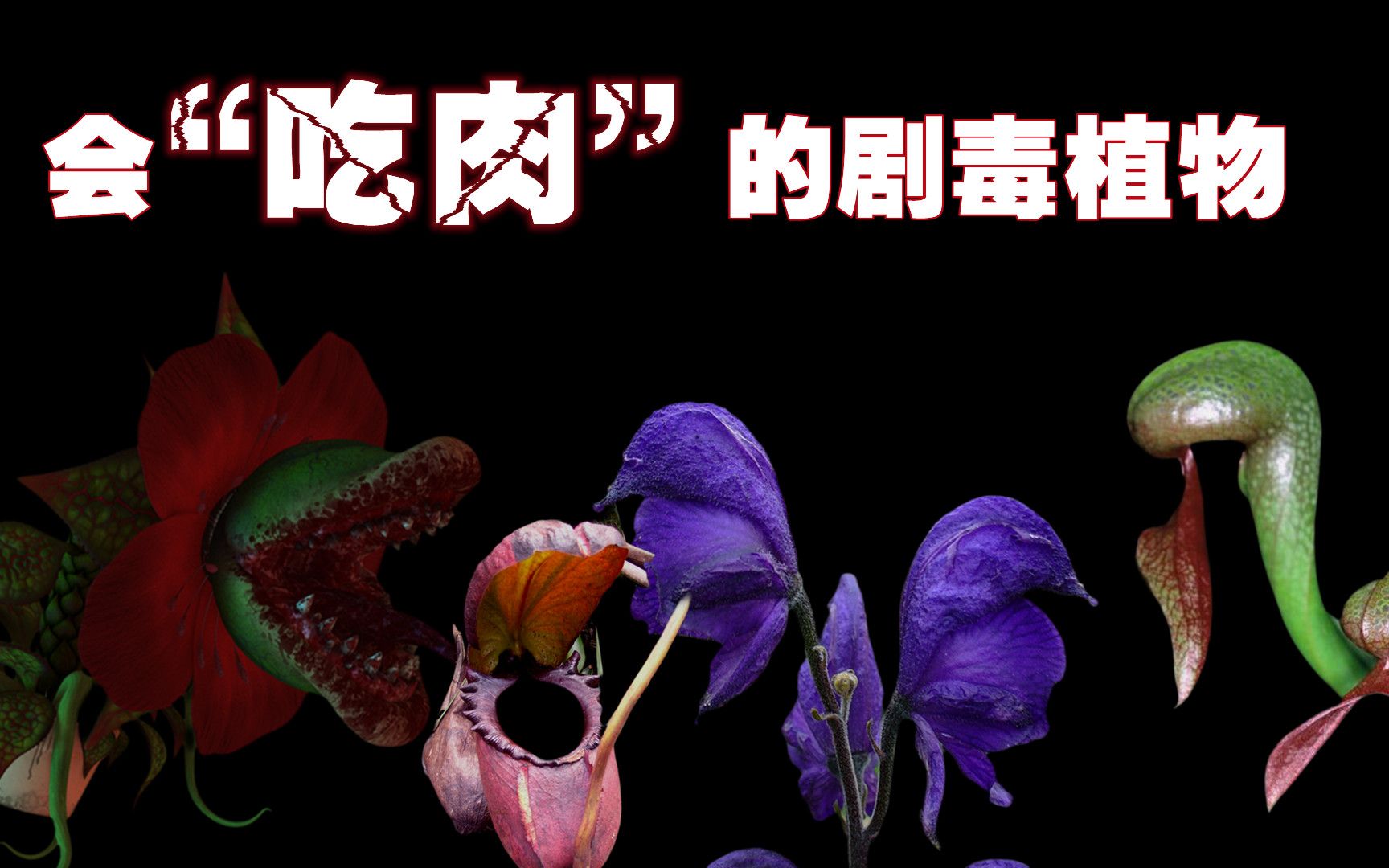 世界上“最毒”10种植物,其中一个曾“毒死”过美国前任总统母亲!