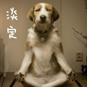 小小强爱剪辑 