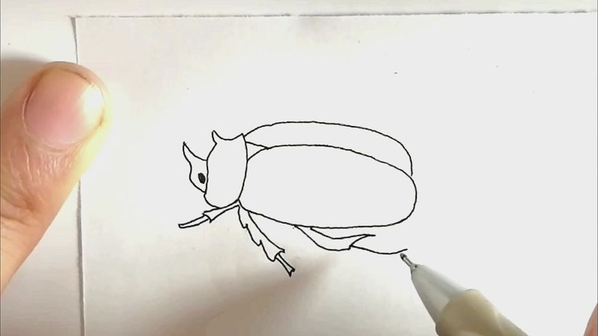 简笔画—甲壳虫,小朋友一分钟学会画甲壳虫
