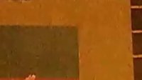 中南林业科技大学环艺学院08级艺设4班班旗设计大赛视频