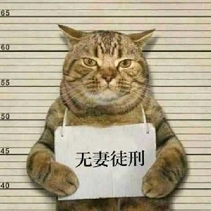 帝王TT局 
