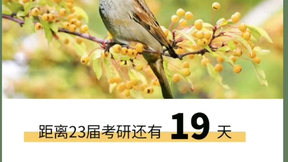 现实是此岸,理想是彼岸,中间隔着湍急的河流,行动则是架在川上的桥梁。