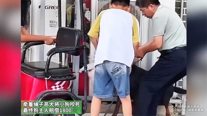 牵着绳子恶犬将小狗咬死,最终狗主人赔偿1800…