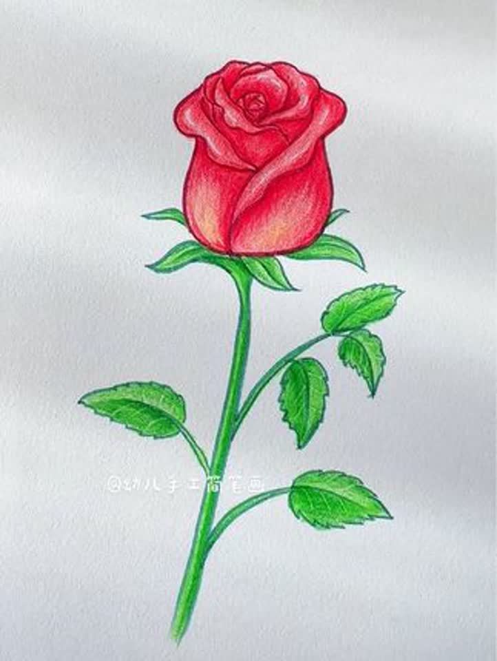 用一个酒杯教你画玫瑰花 #简易花草画法 #儿童画 #彩铅手绘 #玫瑰花